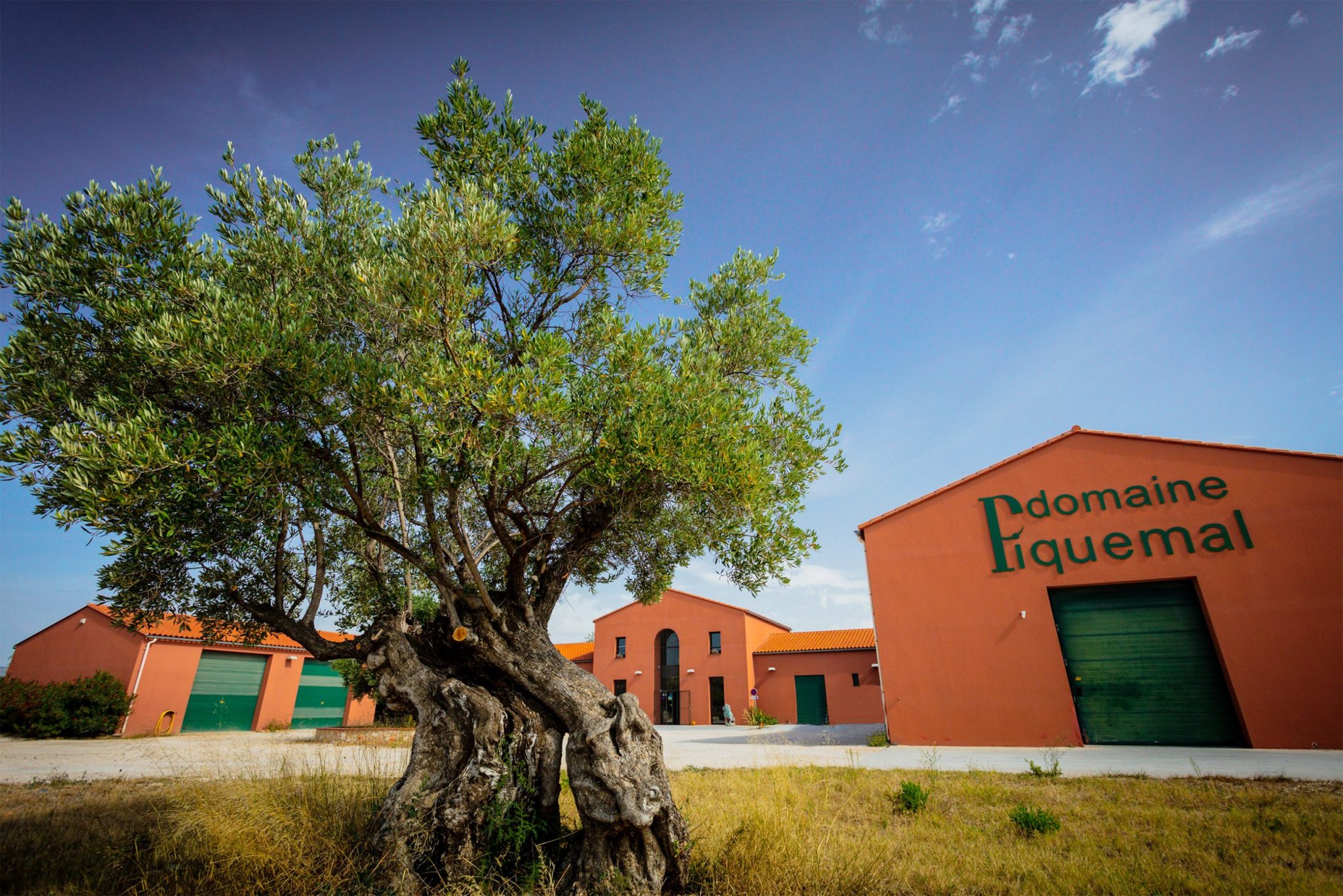 Le Domaine - Domaine Piquemal